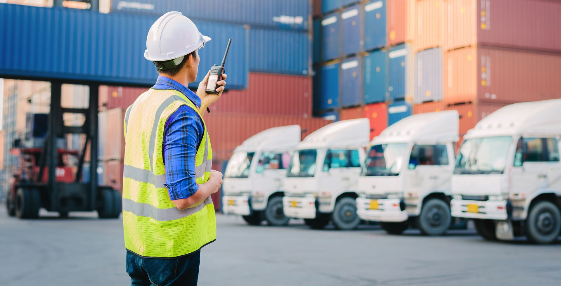 Services – Customs – Brisk Freight (India) Pvt. Ltd.